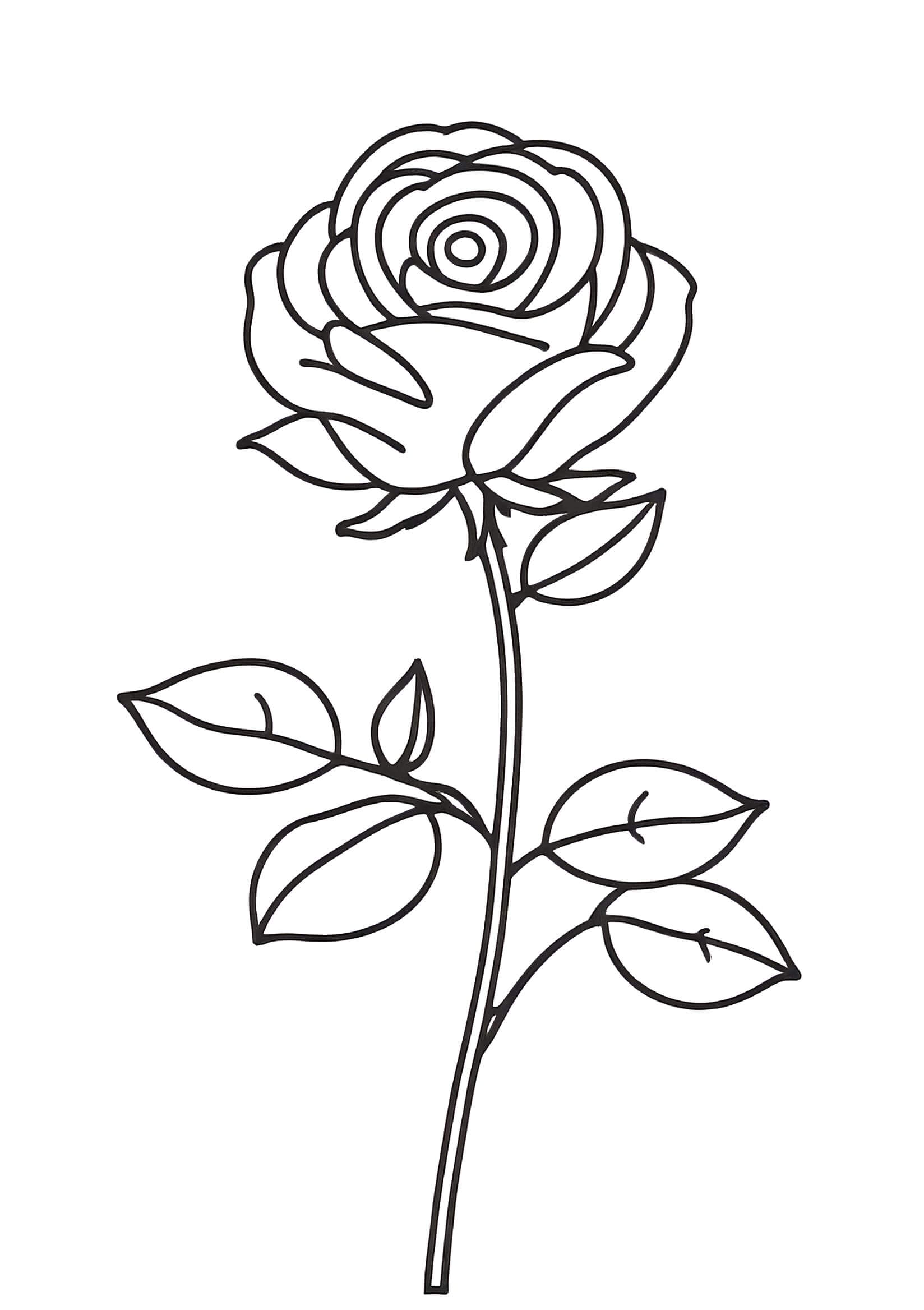 Beautiful Single Rose with Stem Free Coloring Page